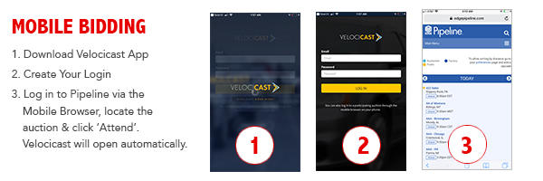 Can I bid from my mobile device? – 166 Auto Auction Help Center